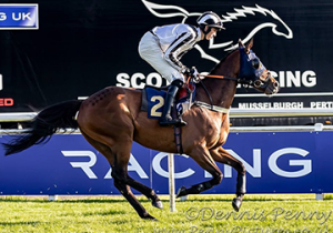 About Scottish Racing – Scottish Racing