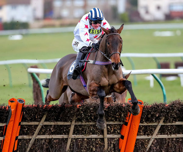 Scottish Racing - Ayr | Hamilton Park | Kelso | Musselburgh | Perth