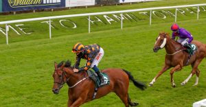 Hamilton Park Racecourse - Scottish Racing