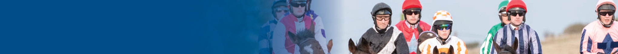 Ayr Racecourse - Scottish Racing