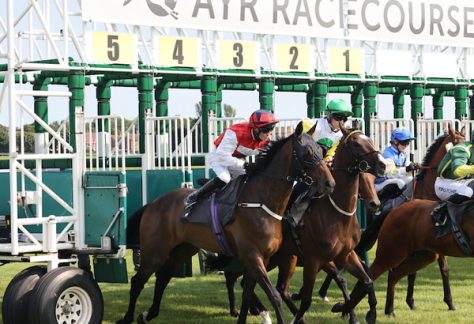 Scottish Racing - Ayr | Hamilton Park | Kelso | Musselburgh | Perth
