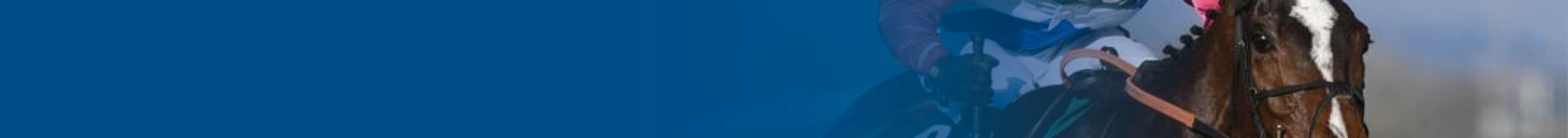 What we do - Scottish Racing